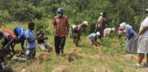 Supporting communities in rural Zimbabwe - Barton Hyett